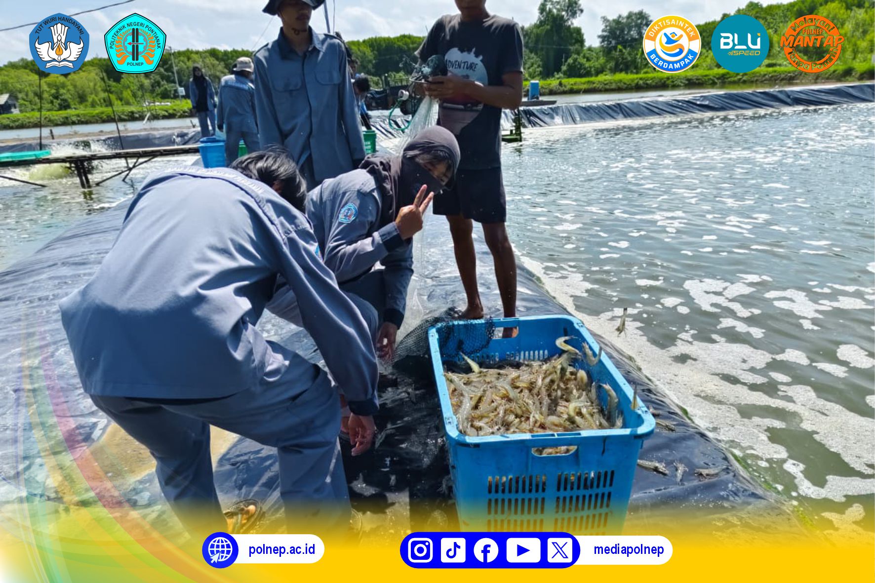 SUKSESKAN TEACHING FACTORY, POLNEP PANEN HAMPIR 1 TON UDANG VANAMEI ...